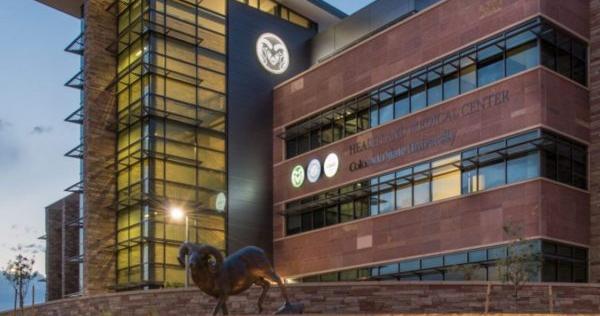 CU School of Medicine partners with CSU to open medical school branch ... CU School of Medicine partners with CSU to open medical school branch ...