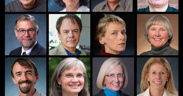 Distinguished Professors: Meet CU’s 12 newly honored faculty members ...