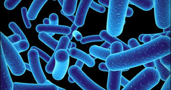 Researchers produce first atlas of airborne microbes across United ...