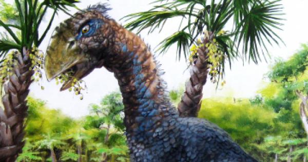 Giant flightless bird wandered the Arctic 50 million years ago | CU ...