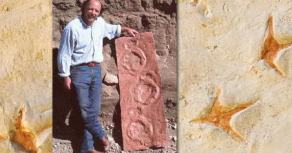 Five questions for Martin Lockley | CU Connections