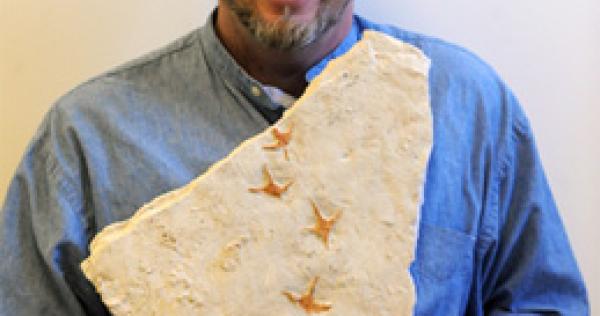 Five questions for Martin Lockley | CU Connections