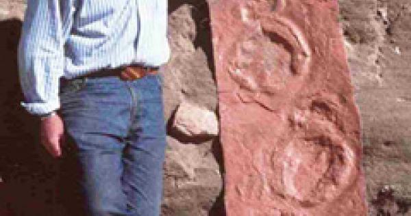 Five questions for Martin Lockley | CU Connections