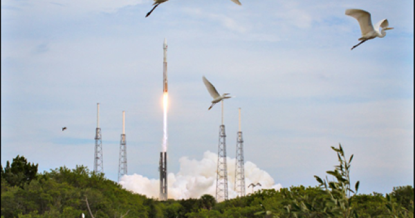 maven launch4j