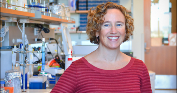 Biomedical research lands CU-Boulder’s Palmer coveted award for $3.7 ...